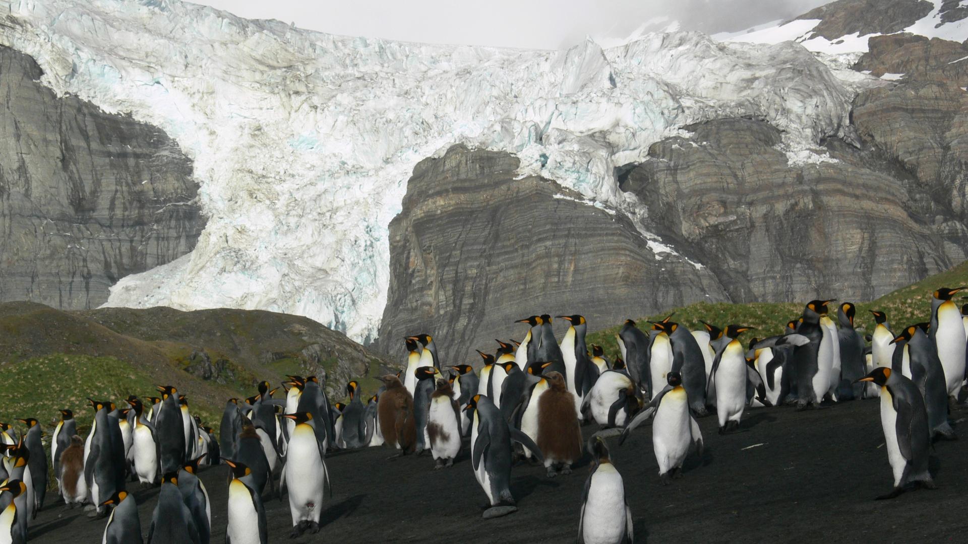 ATTENTION TRAVELERS! (July 2025) | The Polar Travel Company