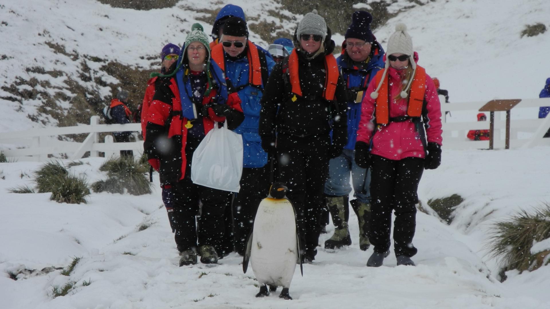 ATTENTION TRAVELERS! (July 2025) | The Polar Travel Company